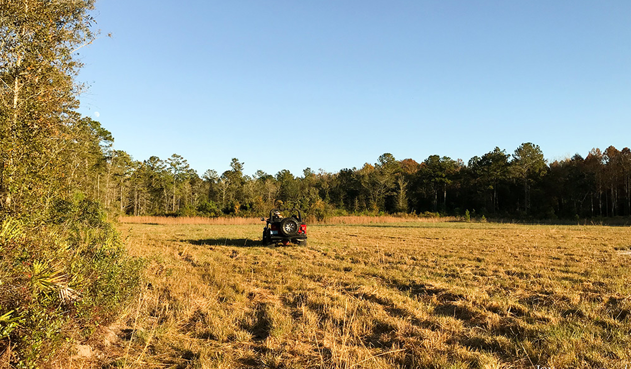 Florida - Jon Kohler & Associates