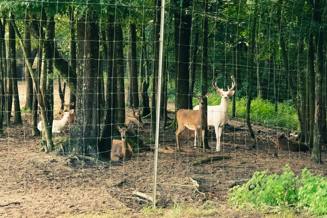 Elkhart Ranch - Jon Kohler & Associates