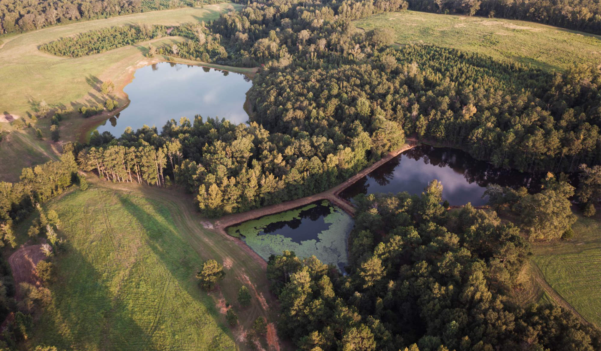 Setter Run Farms - Jon Kohler & Associates