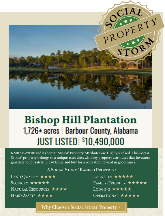 Social Storm Properties - Jon Kohler & Associates